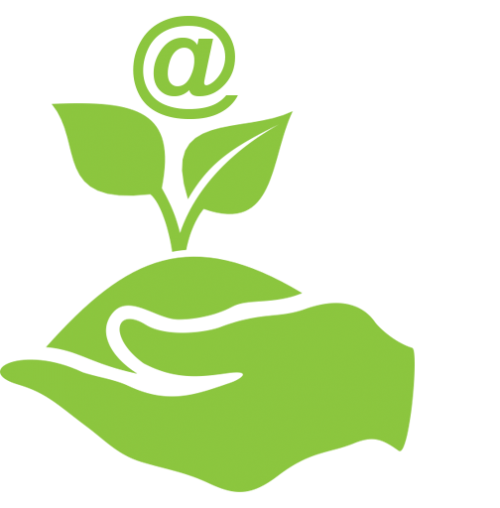 Rooted Elm | Email Marketing – Rooted in created outstanding email ...